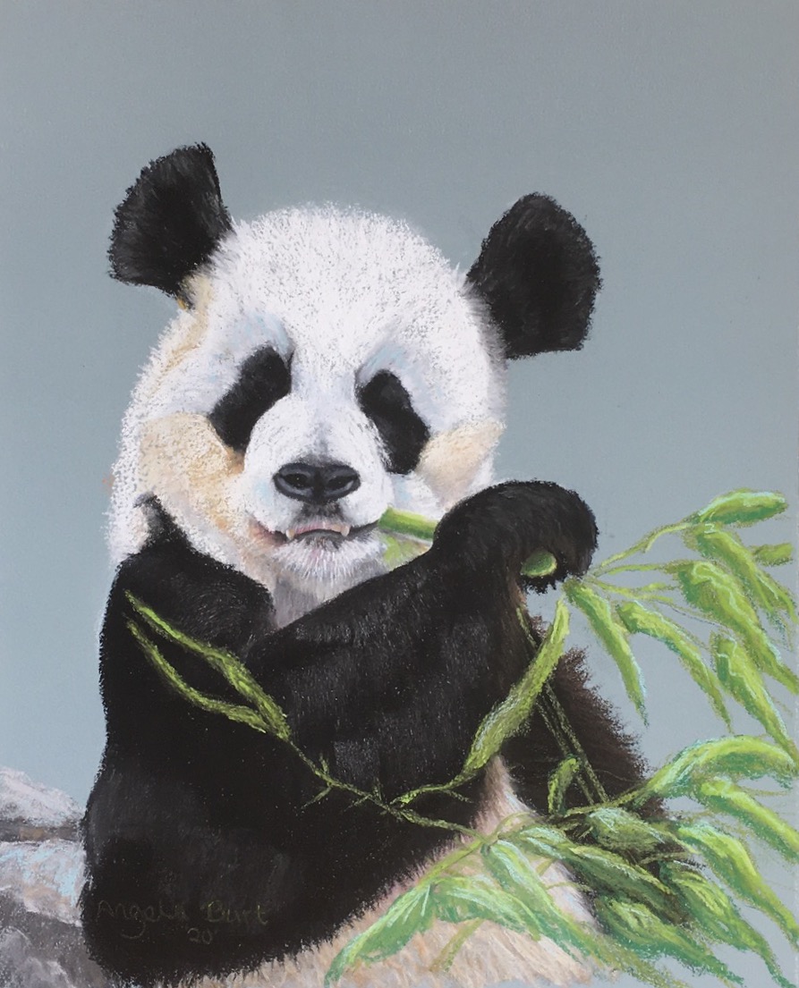 Weekend Art Challenge Pandas! – London Art College