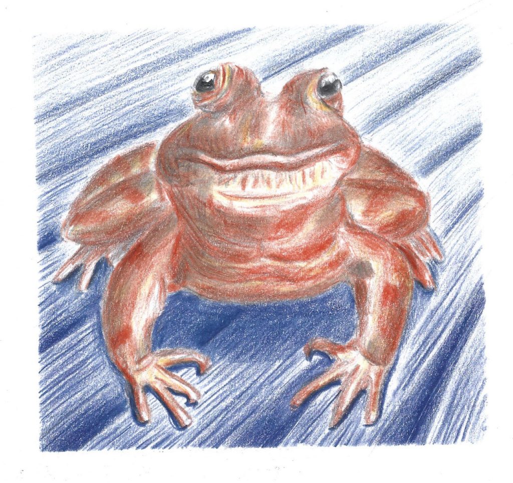 thumbnail_frog – London Art College