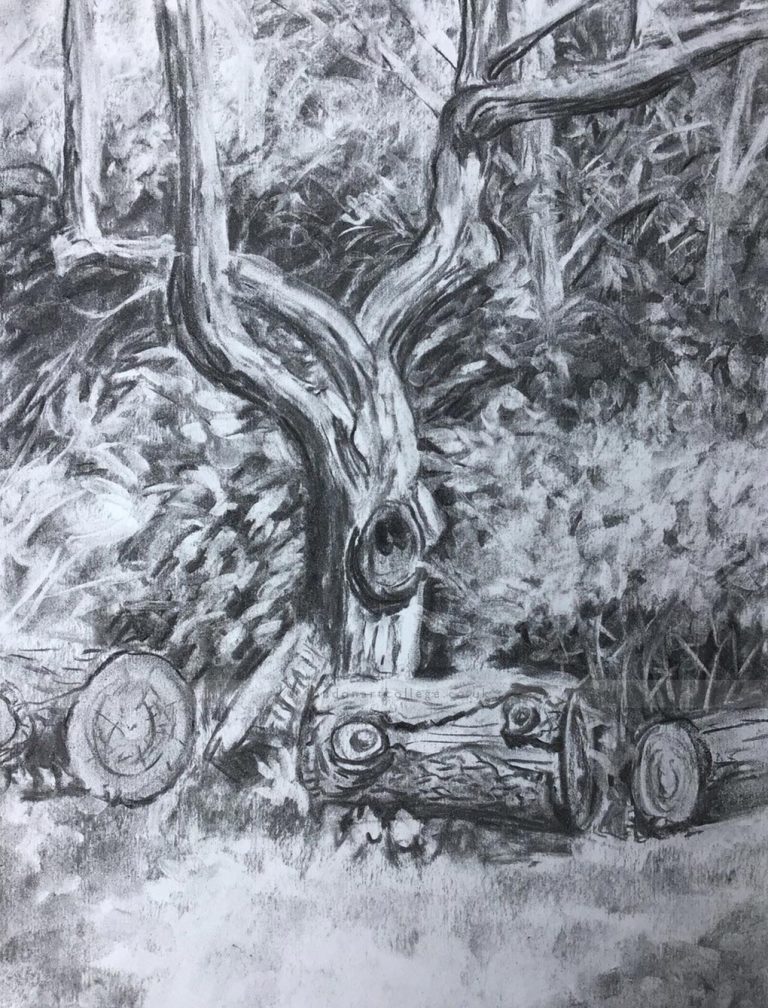 Rachel Bird – London Art College