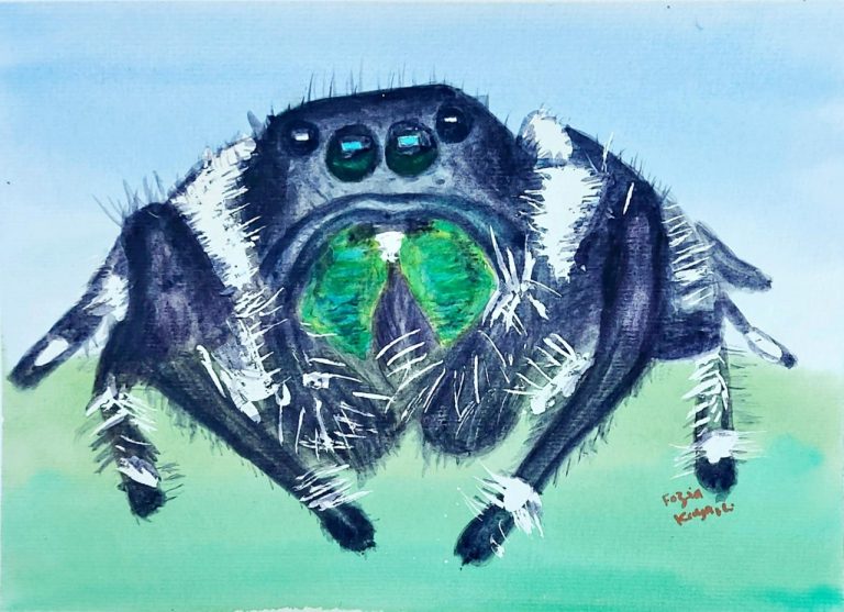 Weekend Art Challenge - Creepy Crawlies!