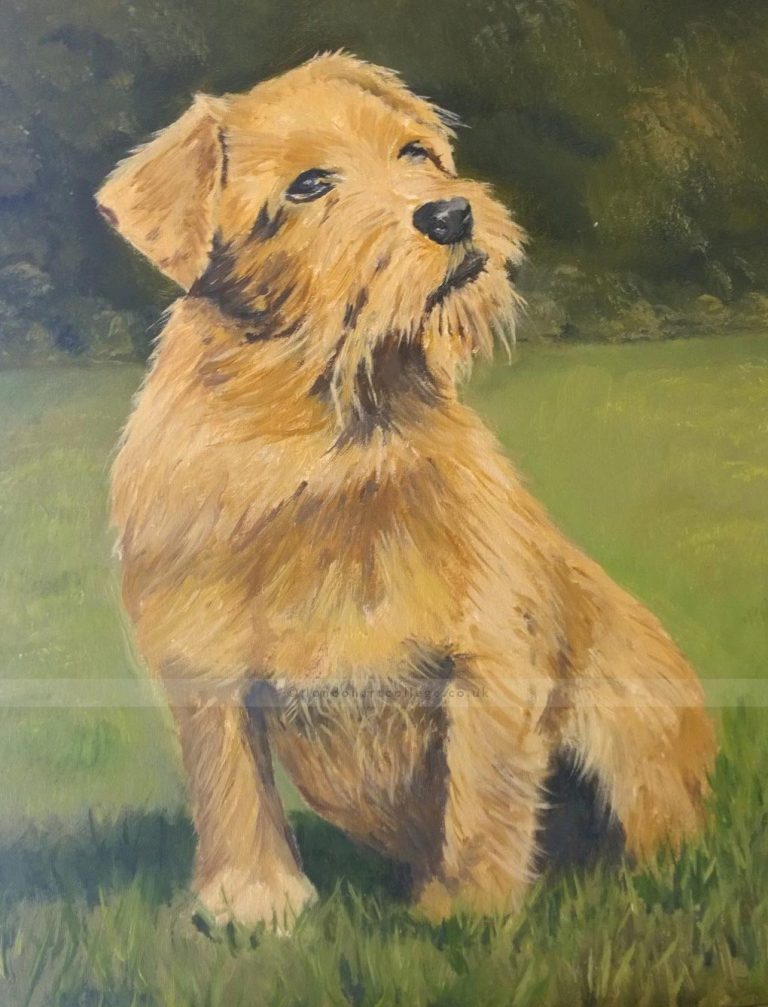 Shirley Snow – London Art College