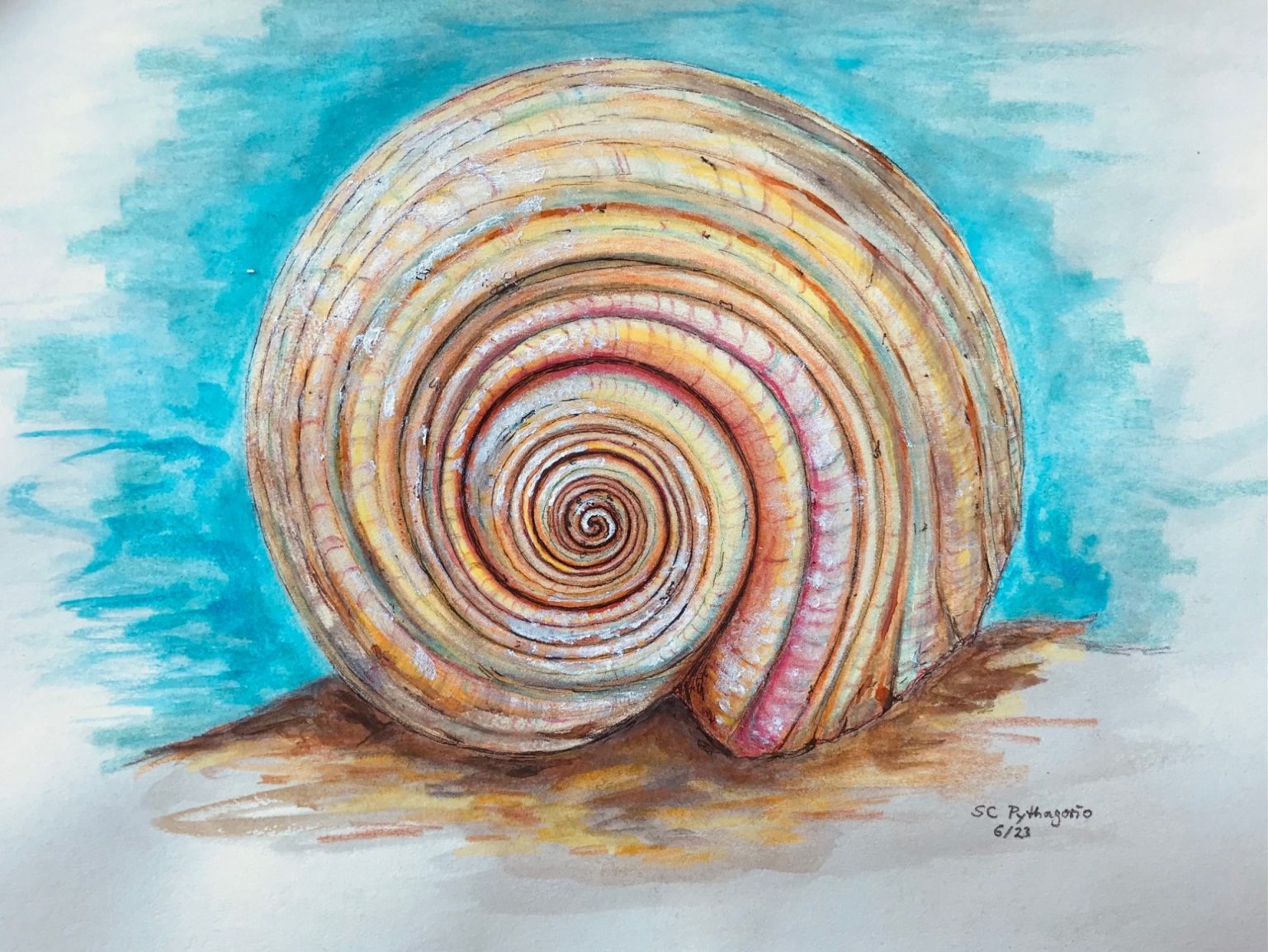 Weekend Art Challenge – Shells and Pebbles – London Art College