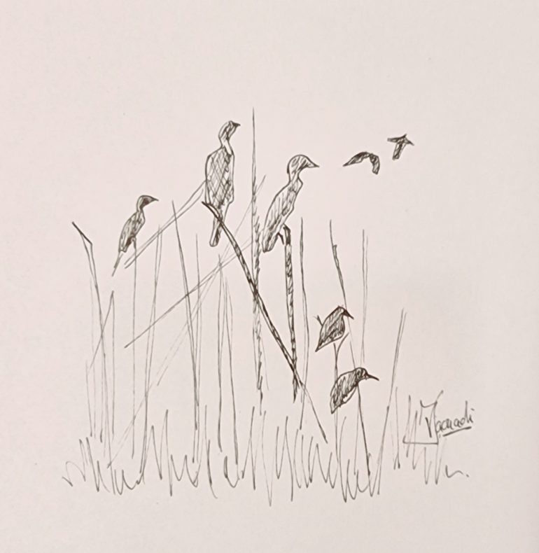 Weekend Art Challenge - 5 Minute Sketch Results