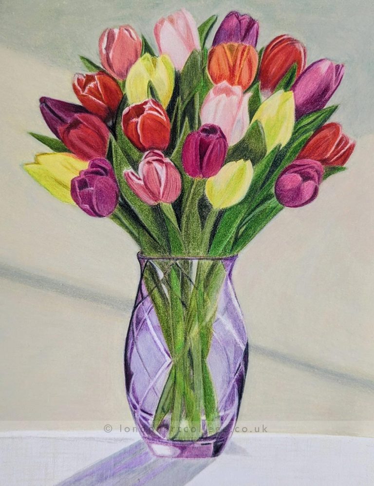 Andrea Cheetham – Coloured Pencil Diploma Course